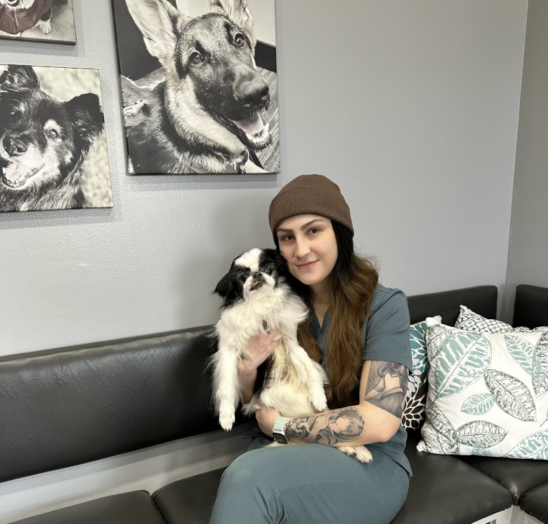 Our Team - Central West End Veterinary Hospital