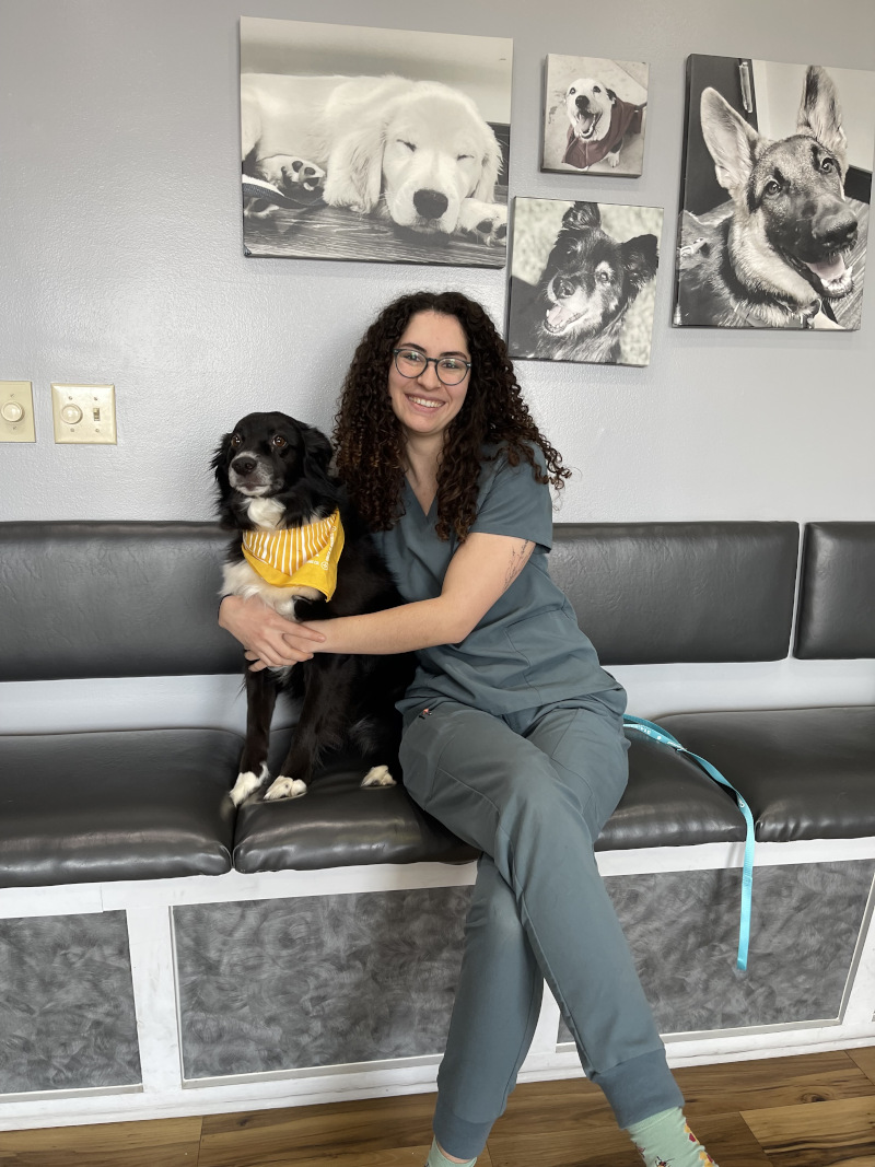 Our Team - Central West End Veterinary Hospital