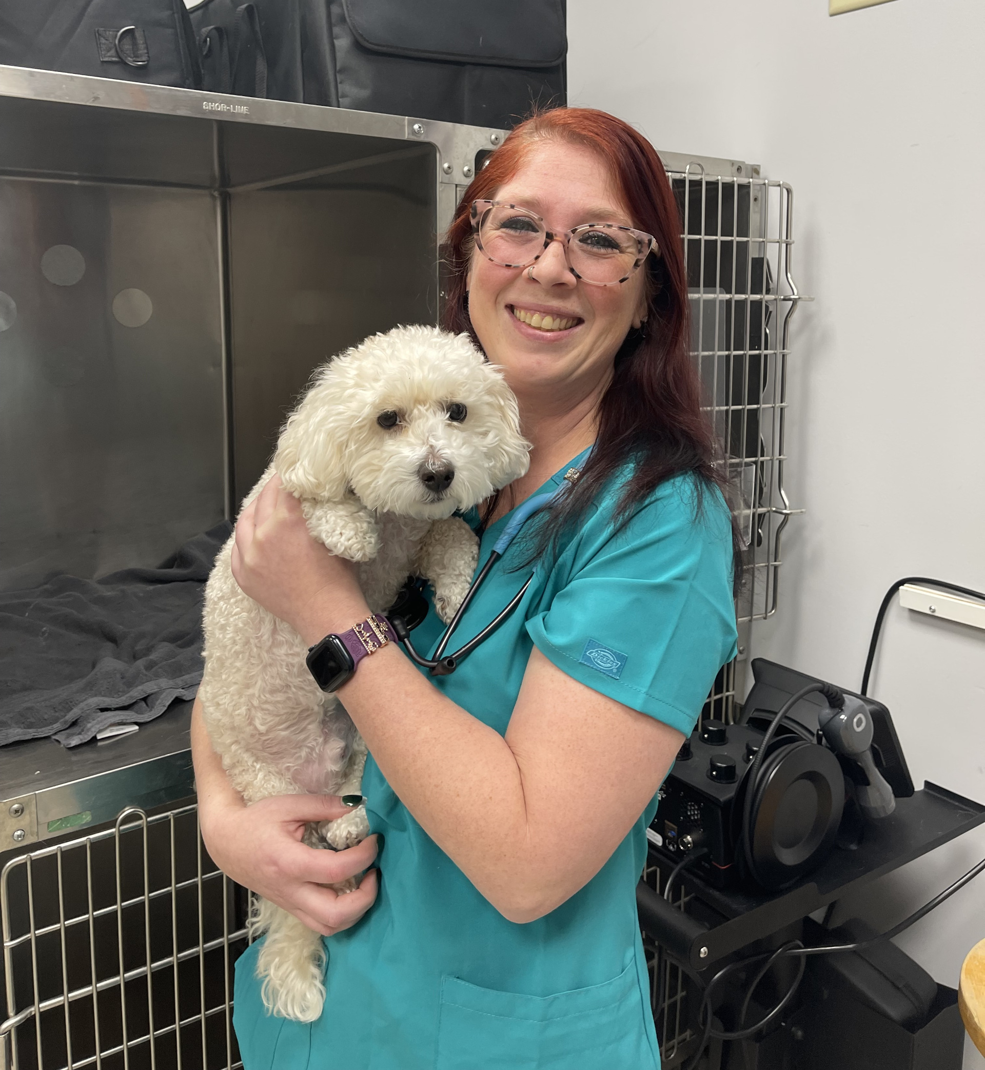 Our Team - Central West End Veterinary Hospital